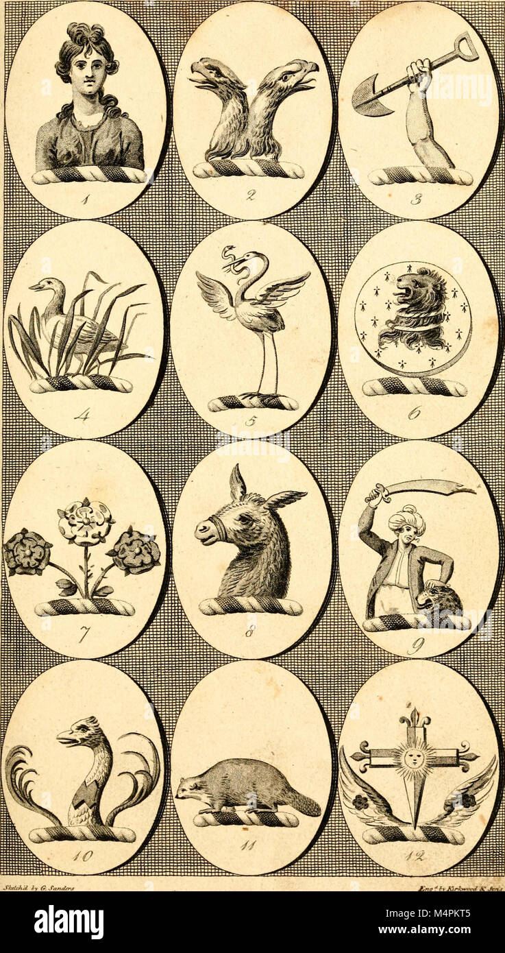 Heraldic classification hi-res stock photography and images - Alamy