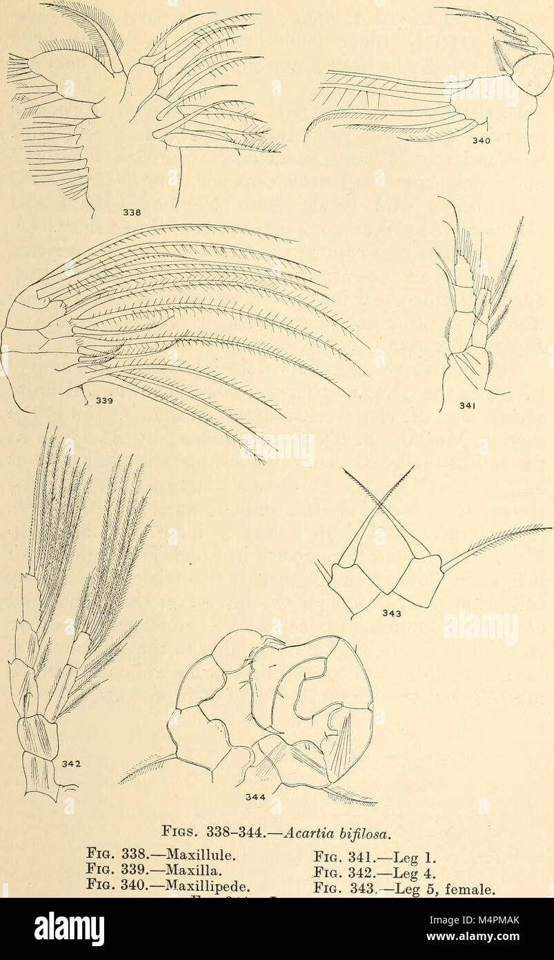 'British Fresh-water Copepoda' (1931) studies freshwater copepods in ...