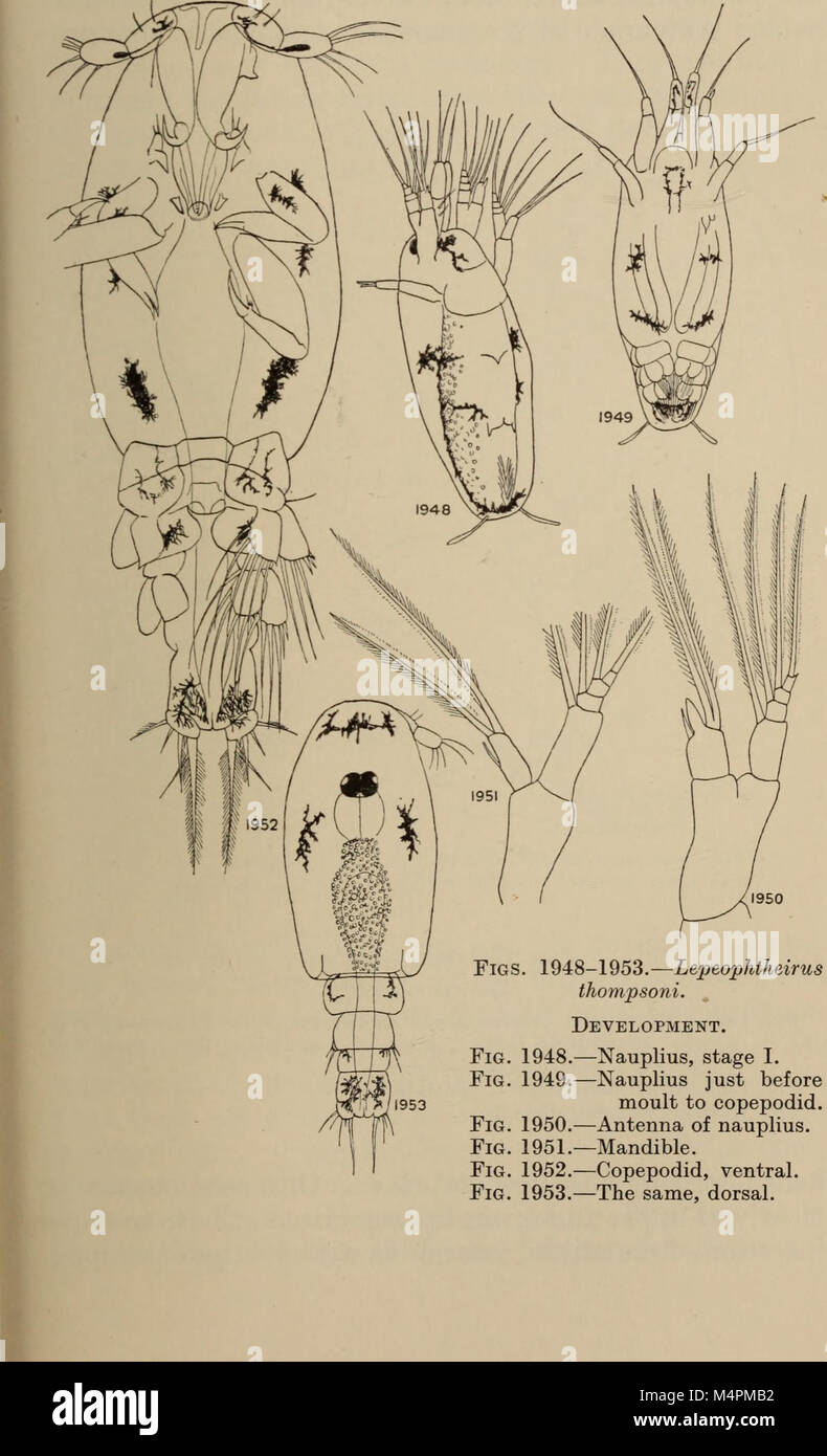 This 1931 study focuses on the taxonomy and ecology of British fresh ...