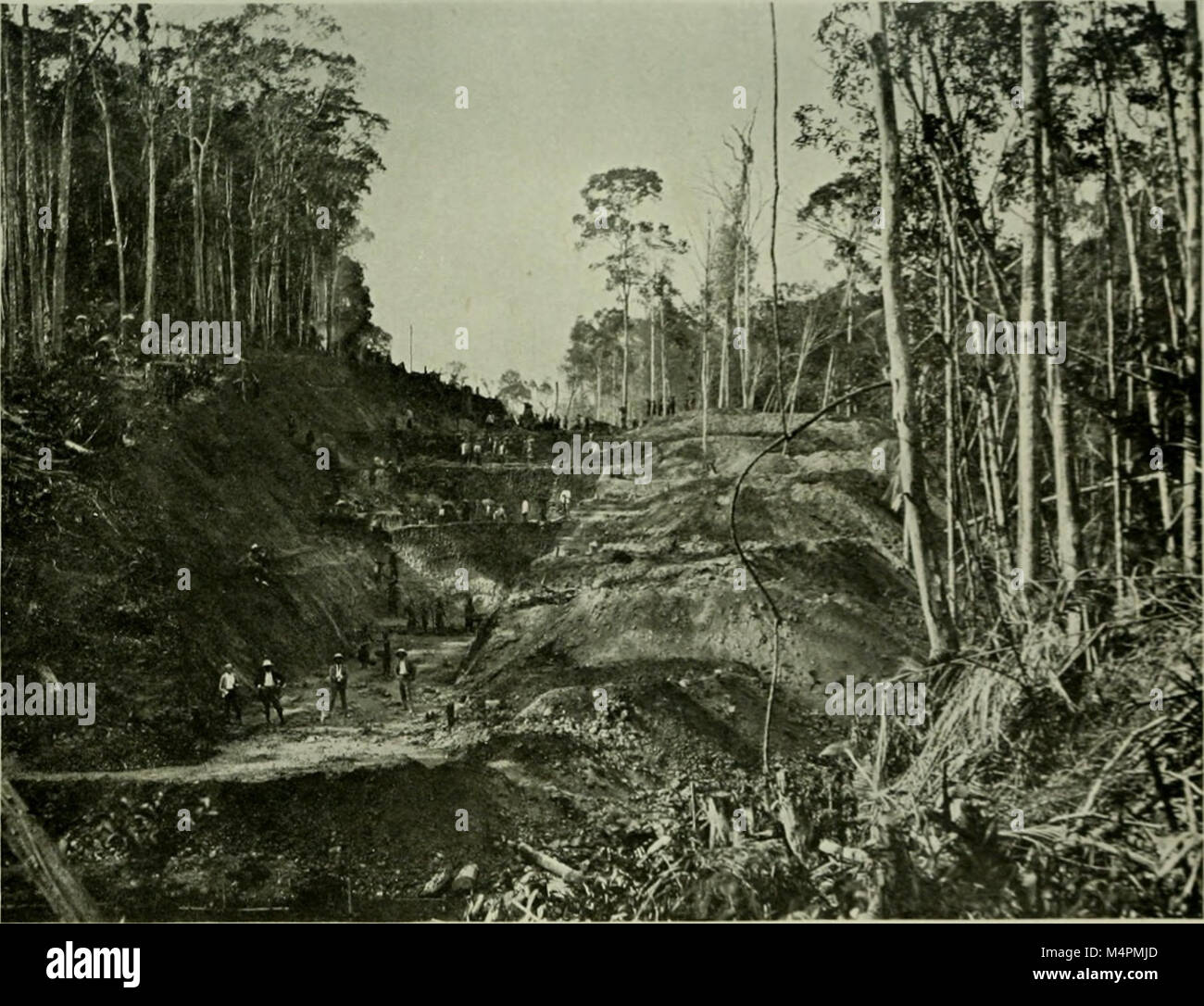 *British Malaya* explores the history of British colonial influence in ...