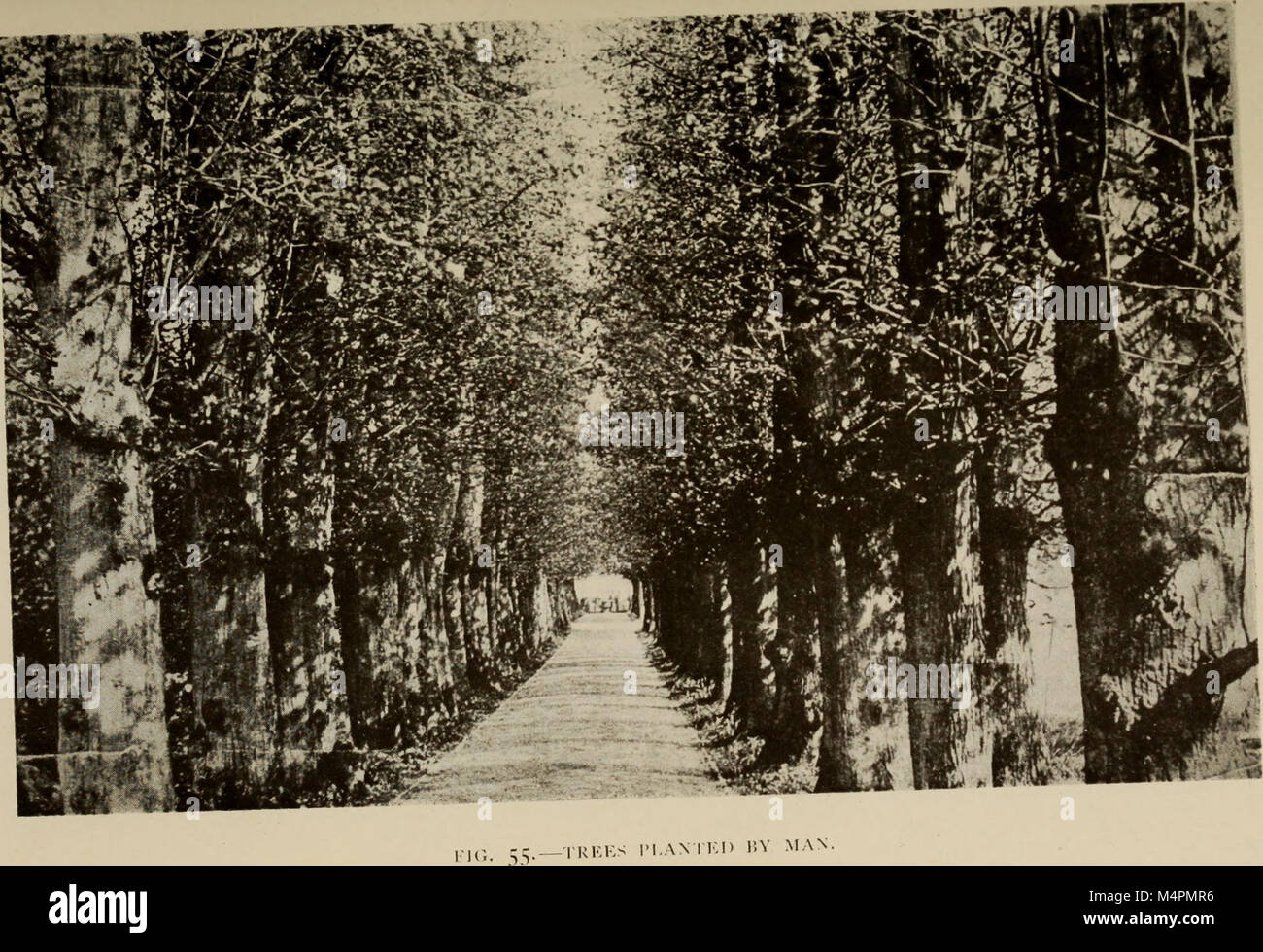 This study explores the natural history of British reptiles, amphibians ...