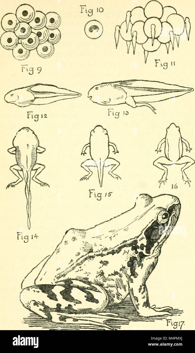 This publication provides detailed descriptions and classifications of ...