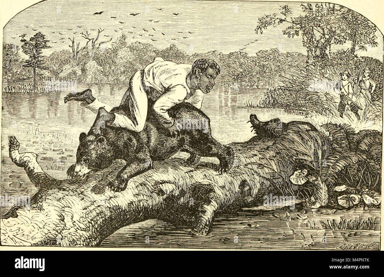 'Bruin - The Grand Bear Hunt' (1861) narrates a thrilling tale of a ...