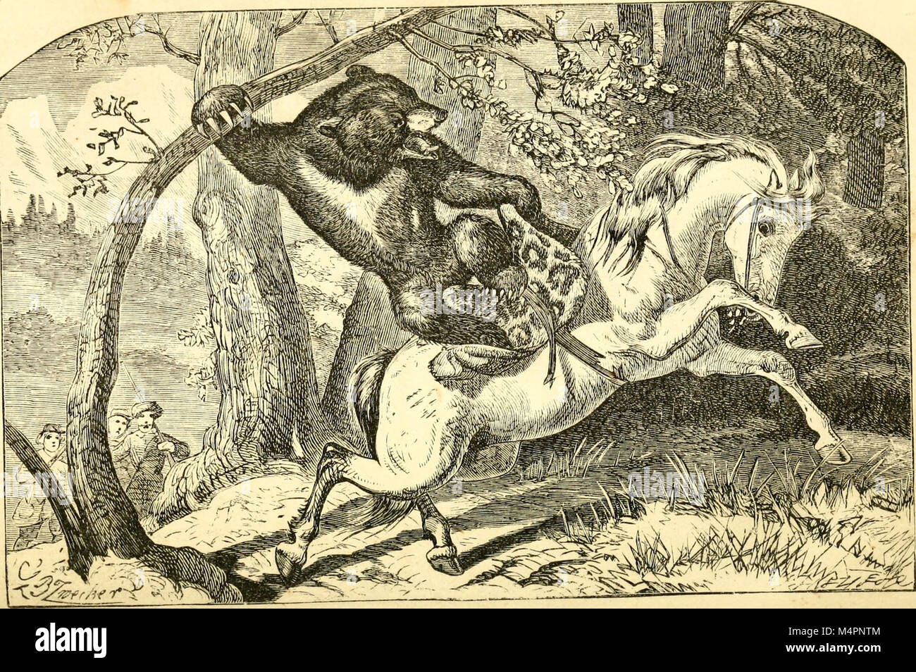 'Bruin - the grand bear hunt' (1861) is a work focusing on hunting ...