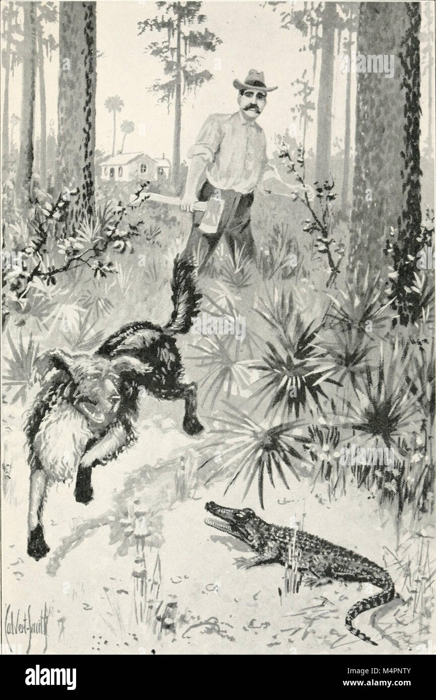 'Bruno' (1908) is a literary work exploring themes of personal growth ...