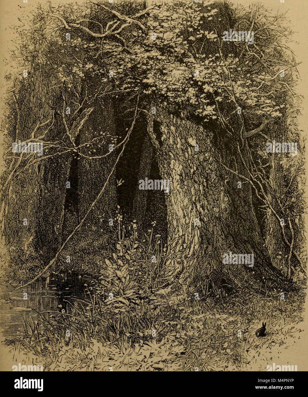 Poems from the Works of William Cullen Bryant (1884) is a collection of ...