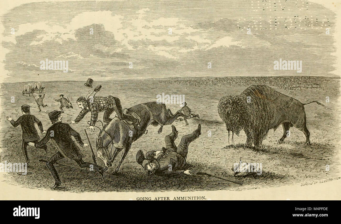 'Buffalo Land' recounts the experiences of a scientific and sporting ...