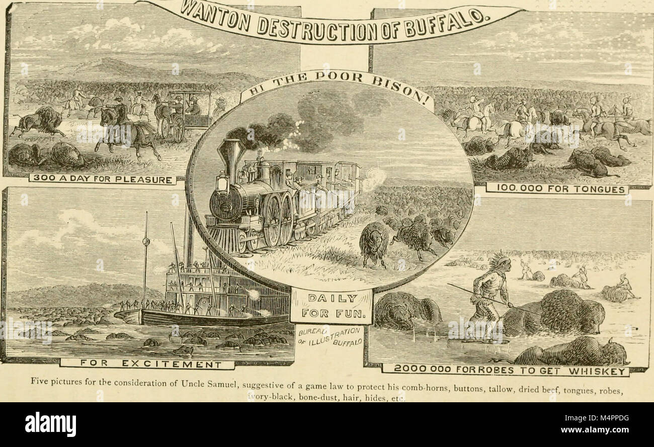 Buffalo land- an authentic account of the discoveries, adventures, and ...