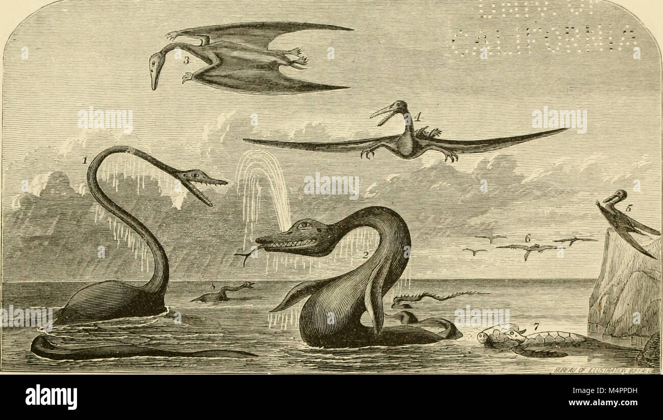 *Buffalo Land* provides an authentic account of the discoveries ...