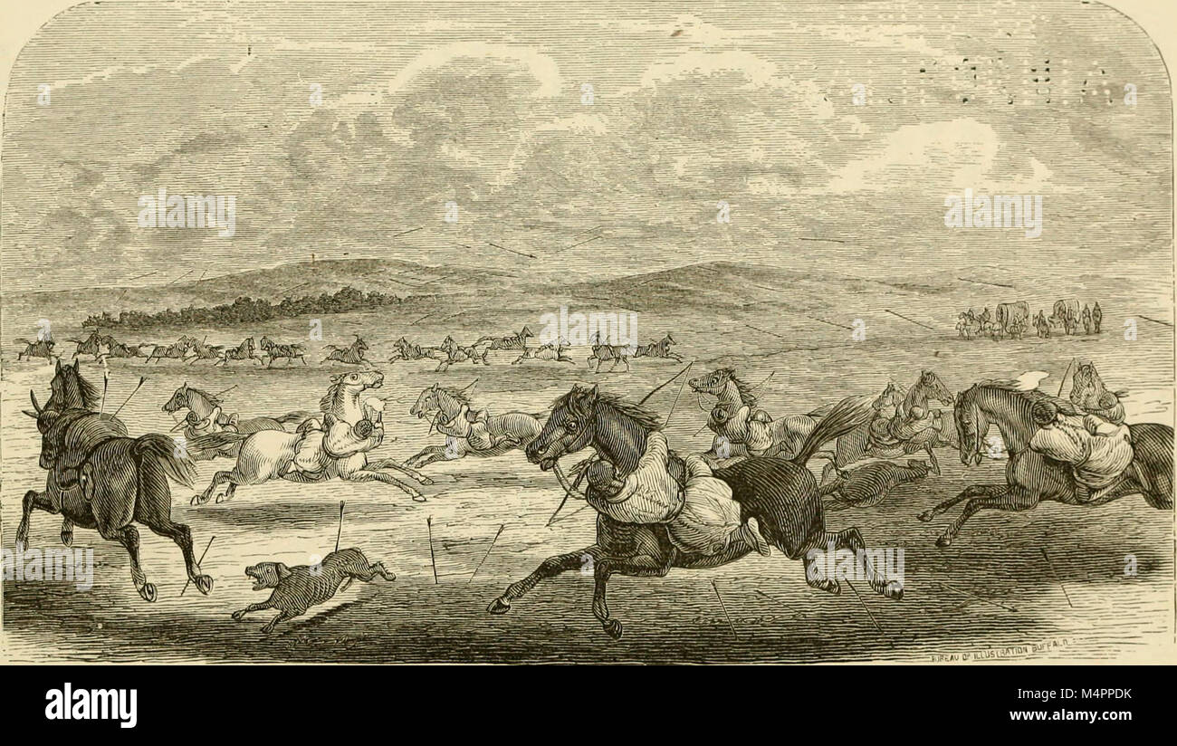 'Buffalo Land' offers an account of the exploration of the American ...