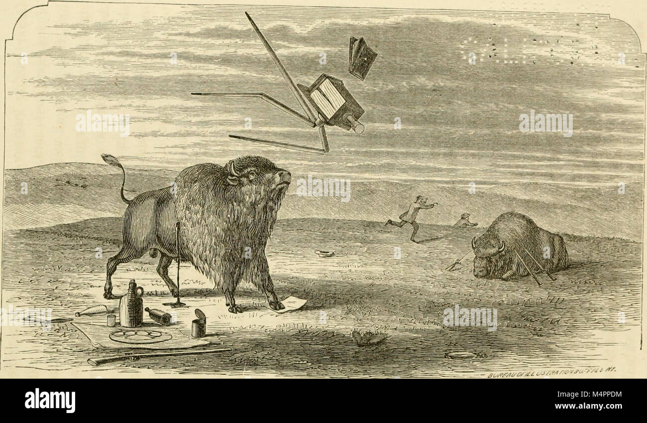 'Buffalo Land' recounts the adventures of a scientific and sporting ...