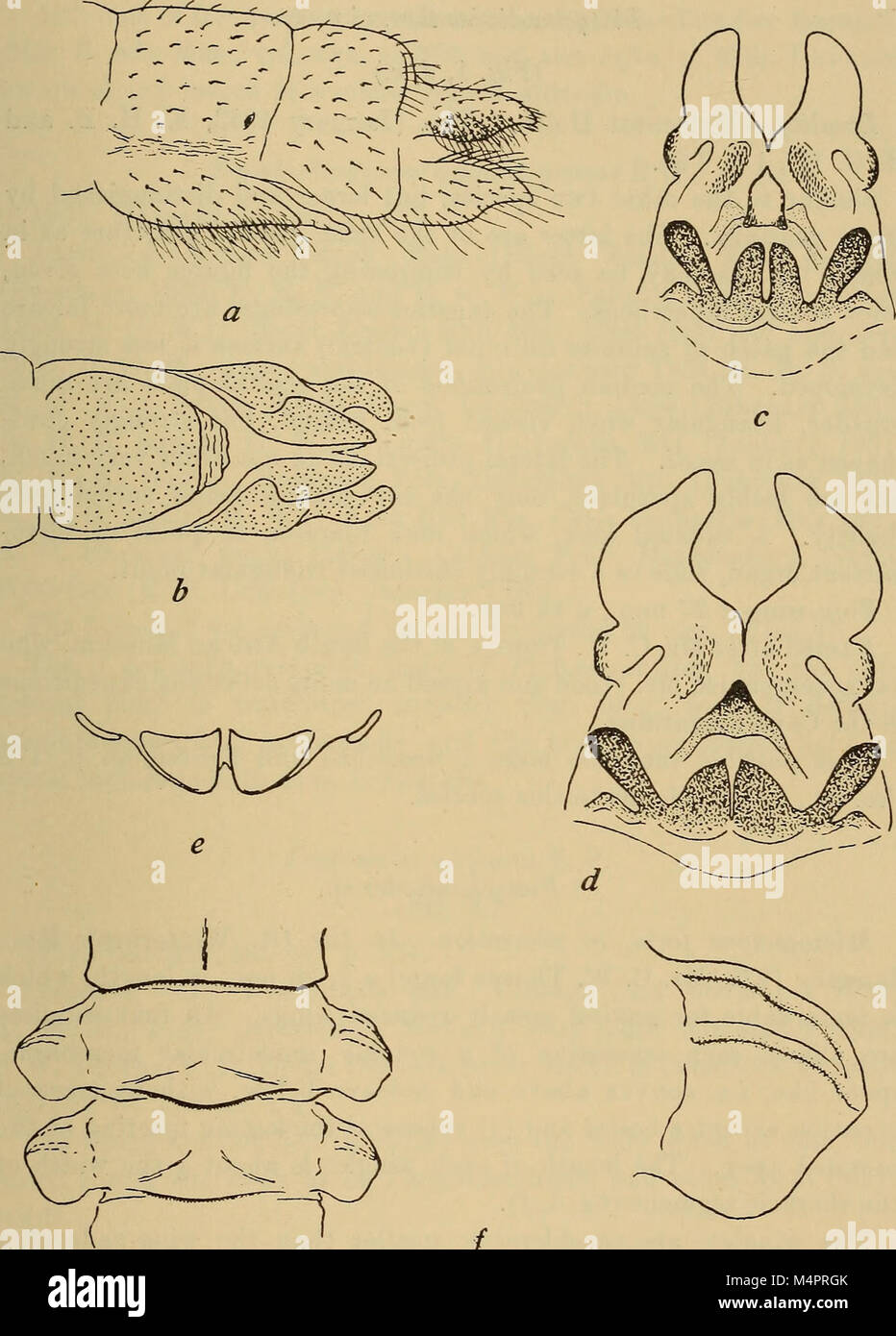 Annals of the South African Museum = Annale van die Suid-Afrikaanse ...
