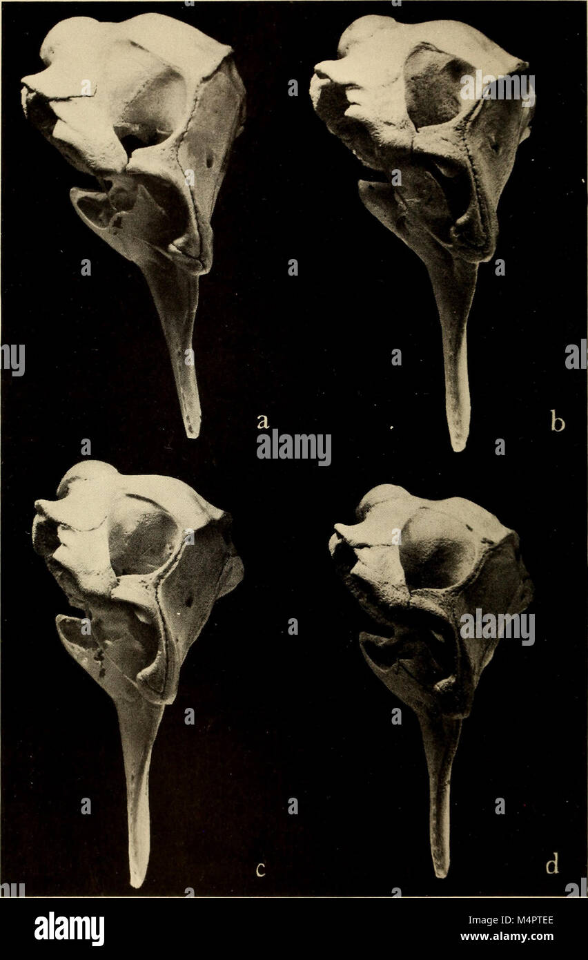 Annals of the South African Museum = Annale van die Suid-Afrikaanse ...