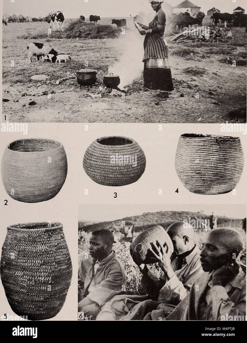 The 'Annals of the South African Museum' (1972) is a scientific journal ...