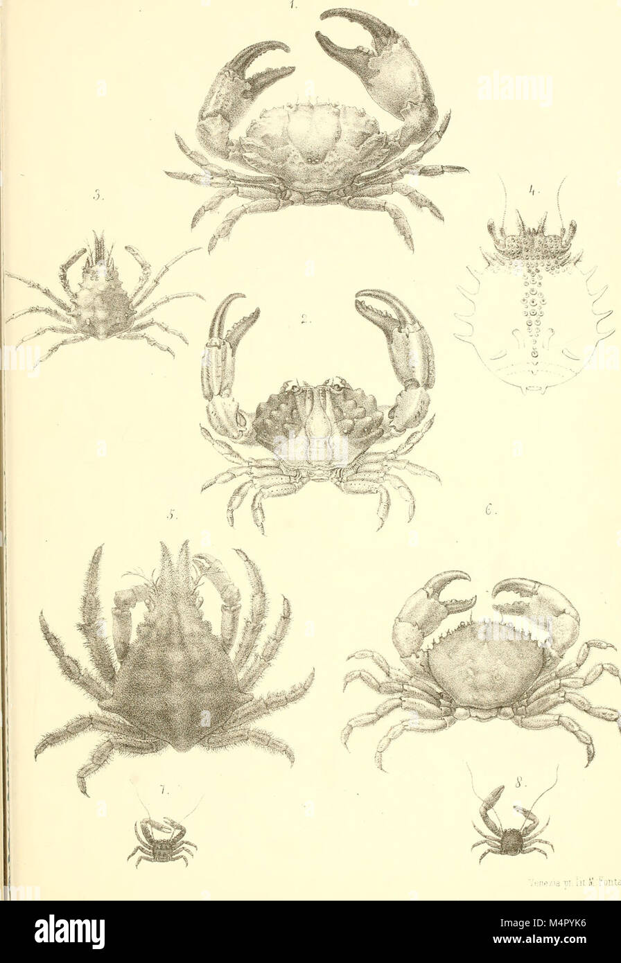 This 1868 work provides detailed descriptions and illustrations of ...