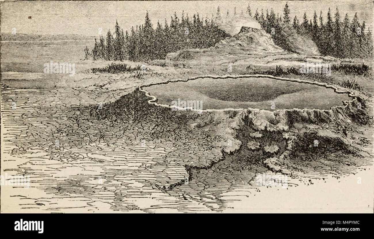 This announcement introduces Prof. S. J. Sedgwickâ€™s illustrated ...