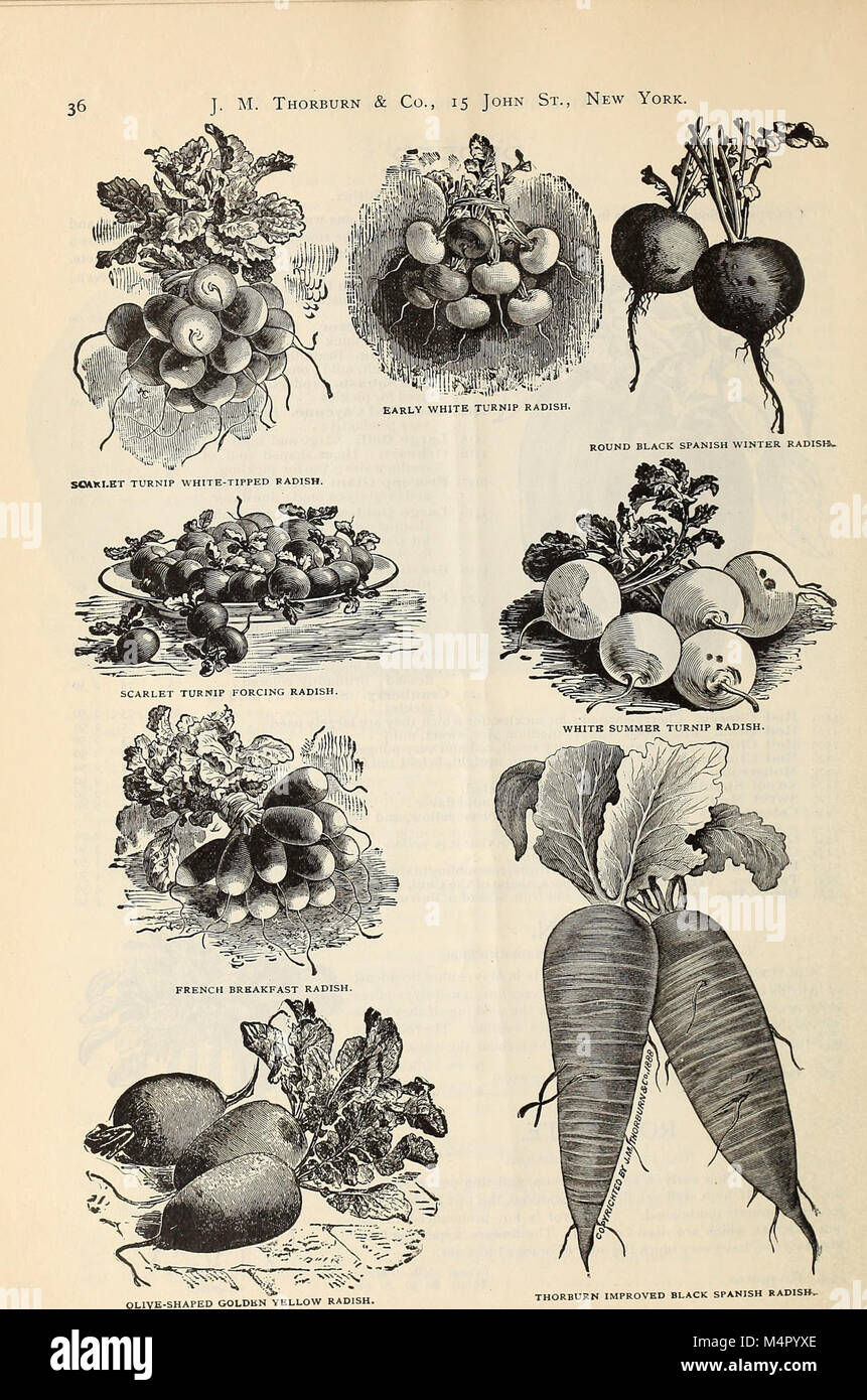 This 1896 catalogue offers a collection of high-quality seeds for ...