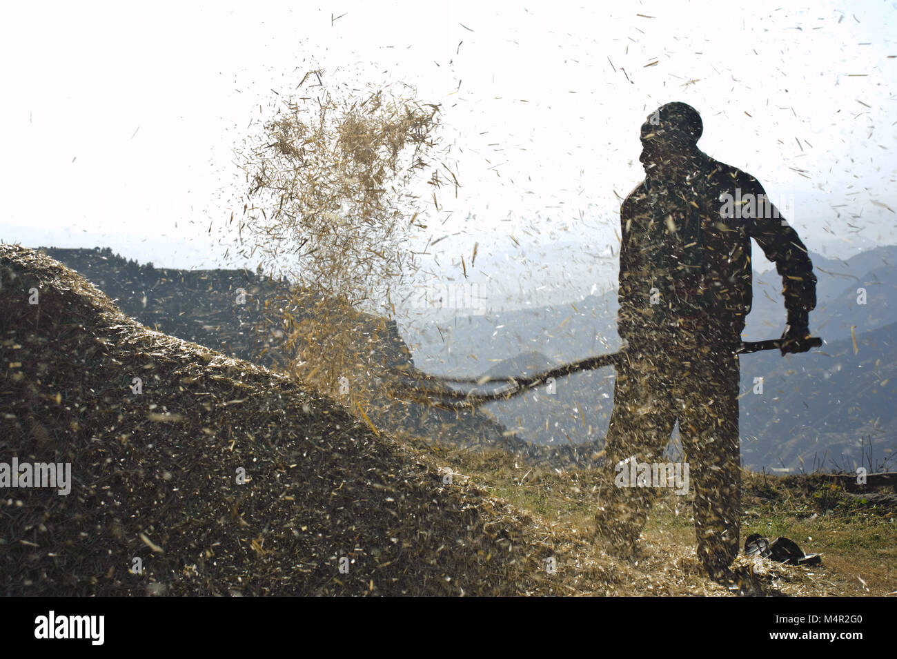 A farmer is winnowing ( Ethiopia Stock Photo - Alamy