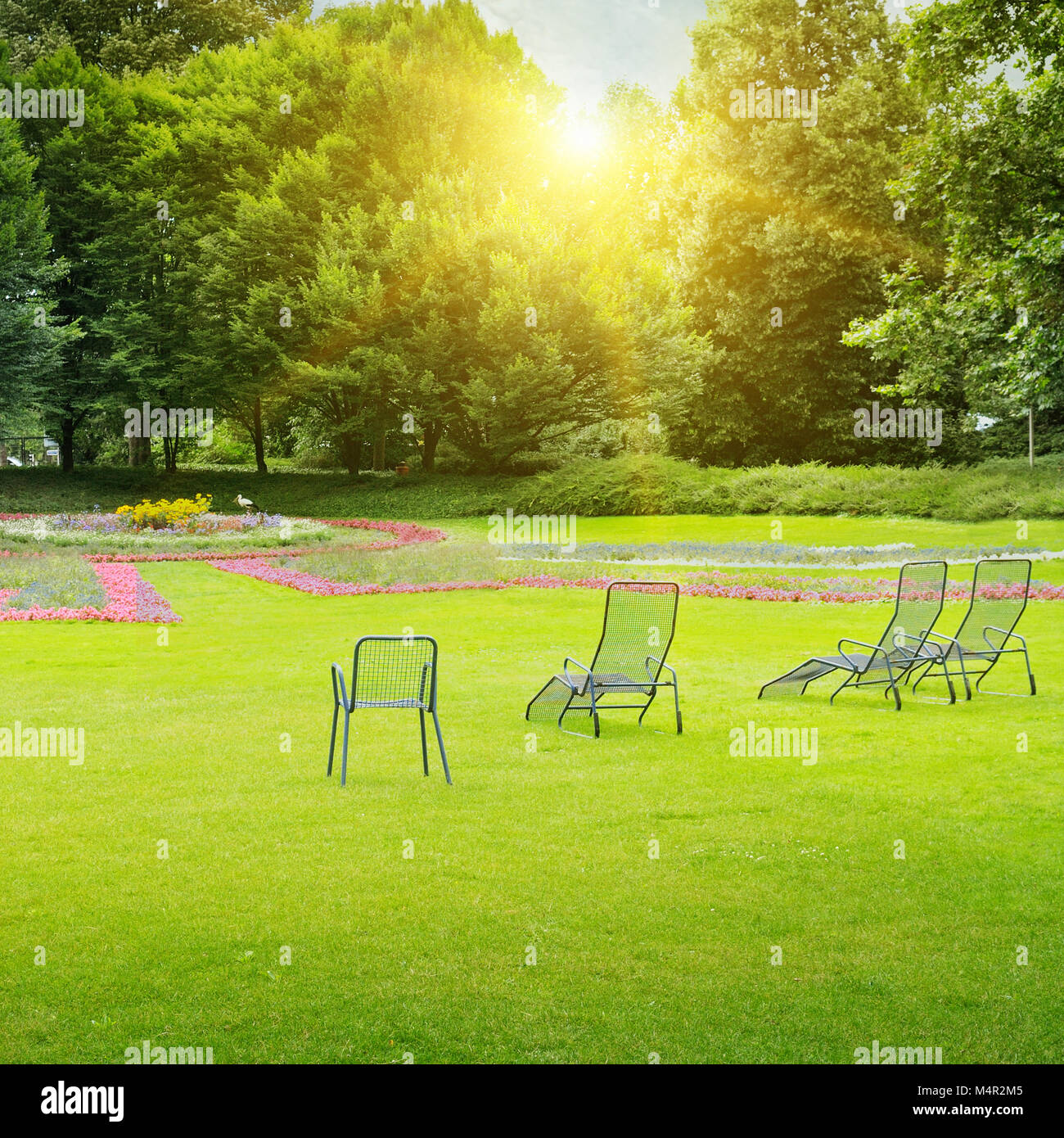 beautiful summer park and sunrise Stock Photo - Alamy