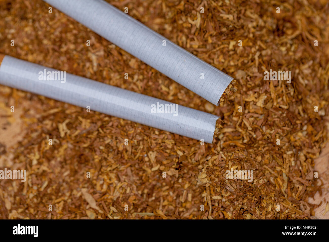 two cigarettes lies on brown tubing tobacco Stock Photo - Alamy