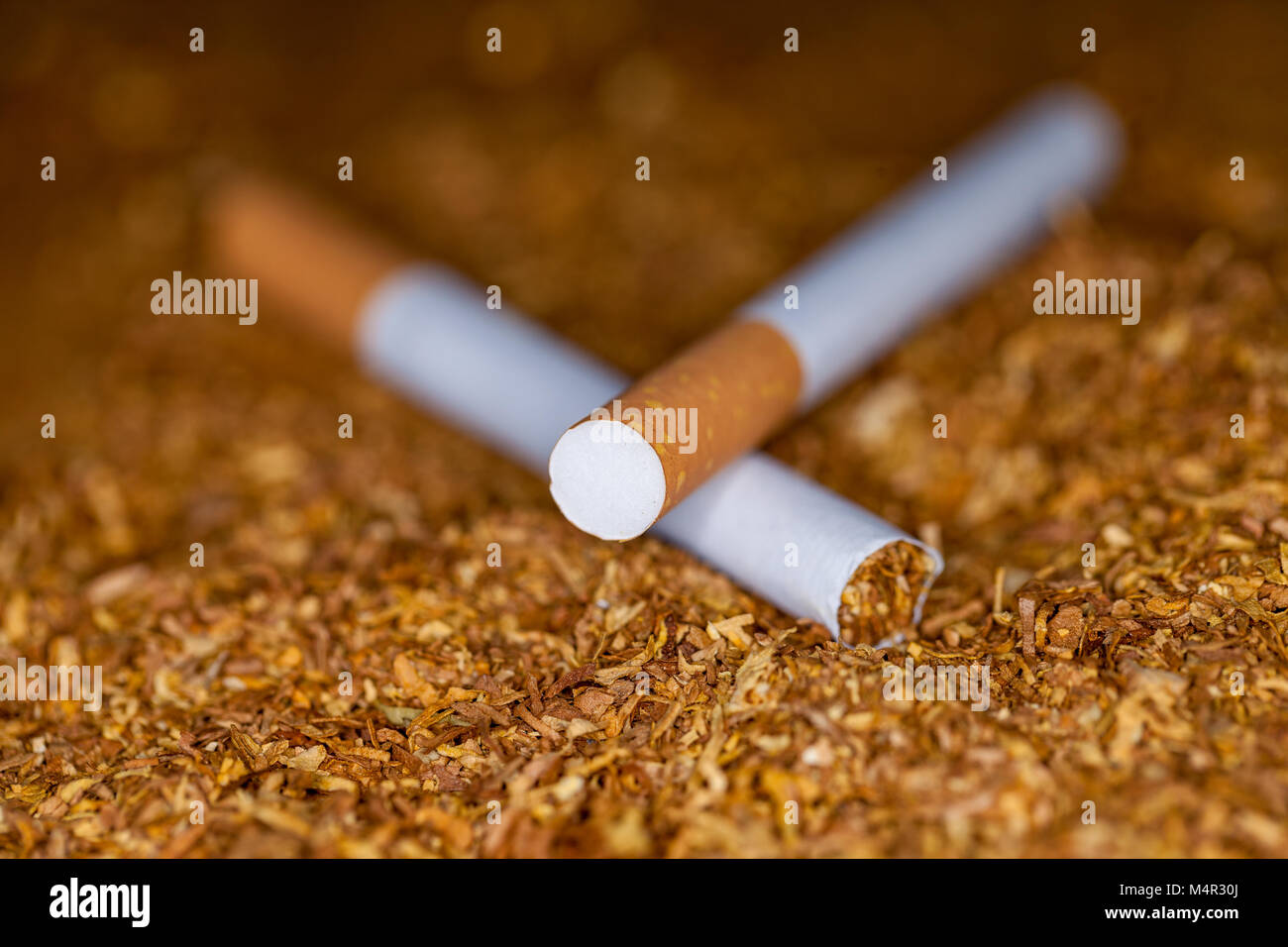 two cigarettes lies on brown tubing tobacco Stock Photo - Alamy