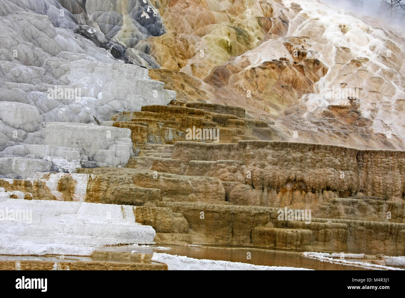 Travertine terraces, Mammoth Hot Springs, Yellowstone National Park ...
