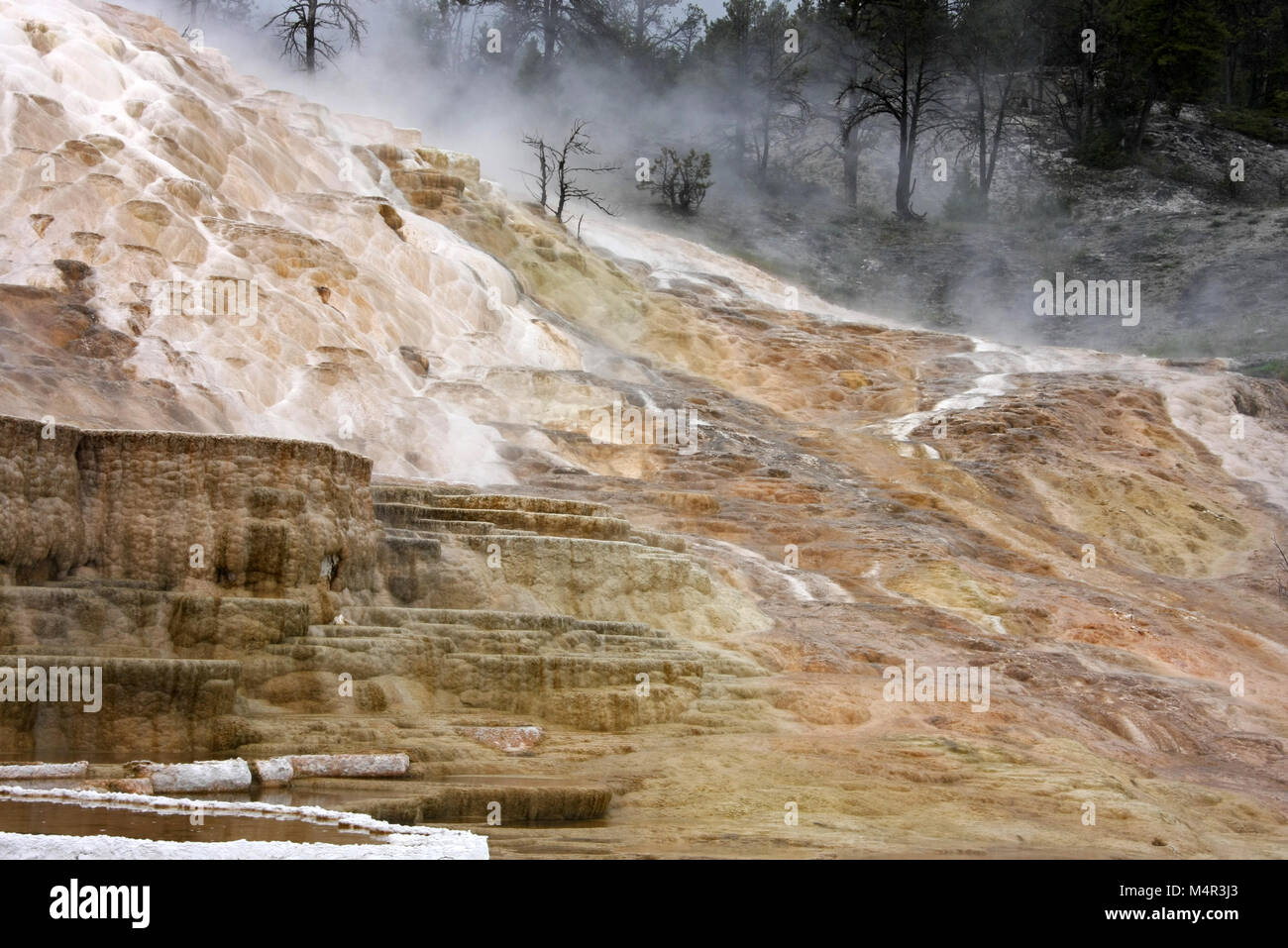 Travertine terraces, Mammoth Hot Springs, Yellowstone National Park ...