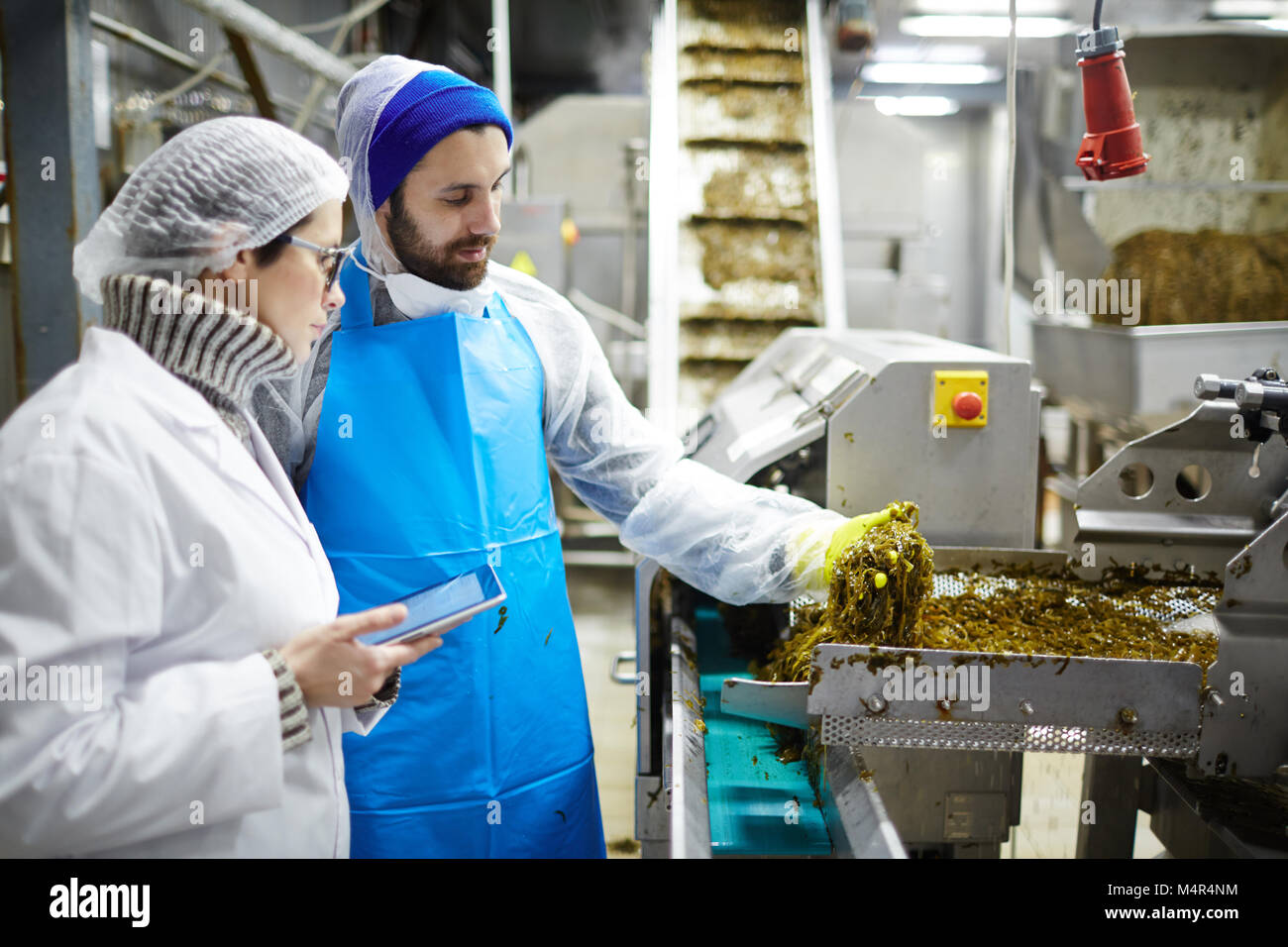 Quality food production hi-res stock photography and images - Alamy