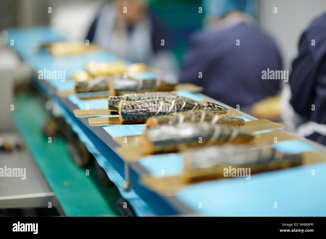 Canning Factory Stock Photos & Canning Factory Stock Images - Alamy