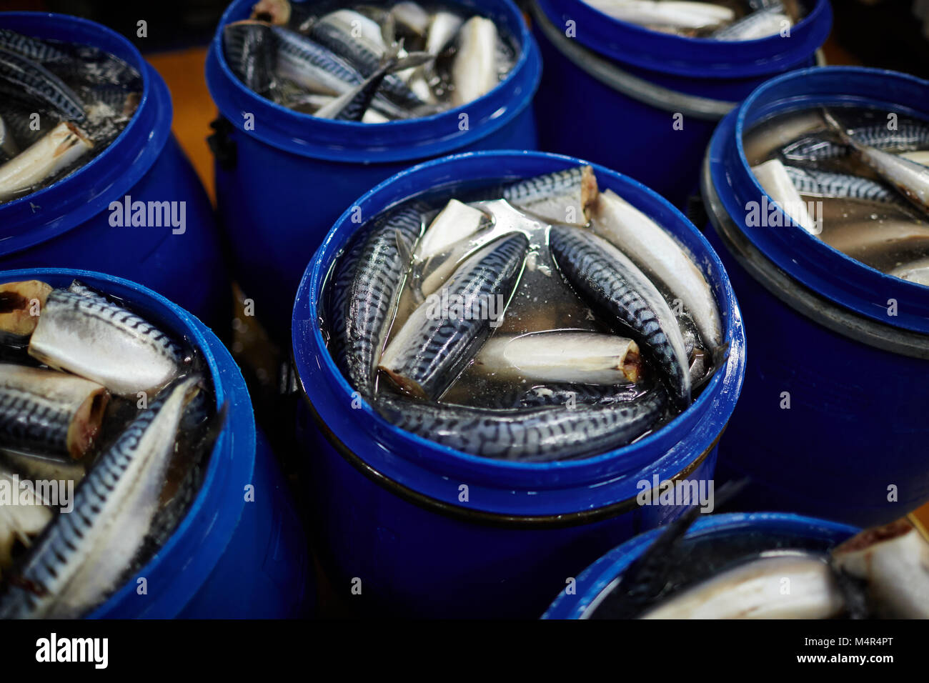 Fish packing plant hi-res stock photography and images - Alamy