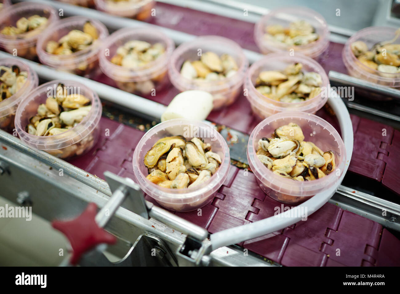 Mussels in containers Stock Photo - Alamy