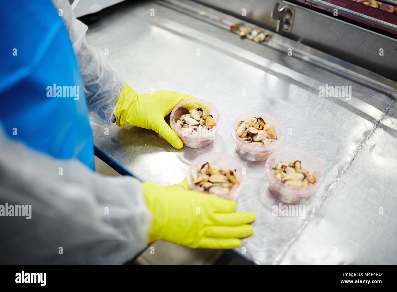 Canning factory fish hi-res stock photography and images - Alamy