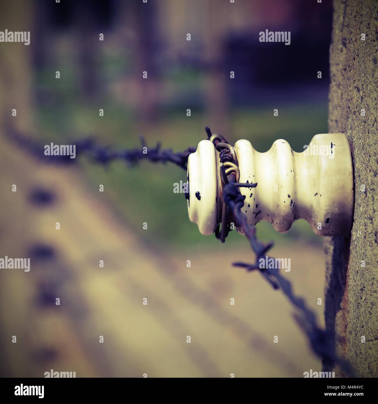 detail of the border with barbed wire with vintage effect Stock Photo ...