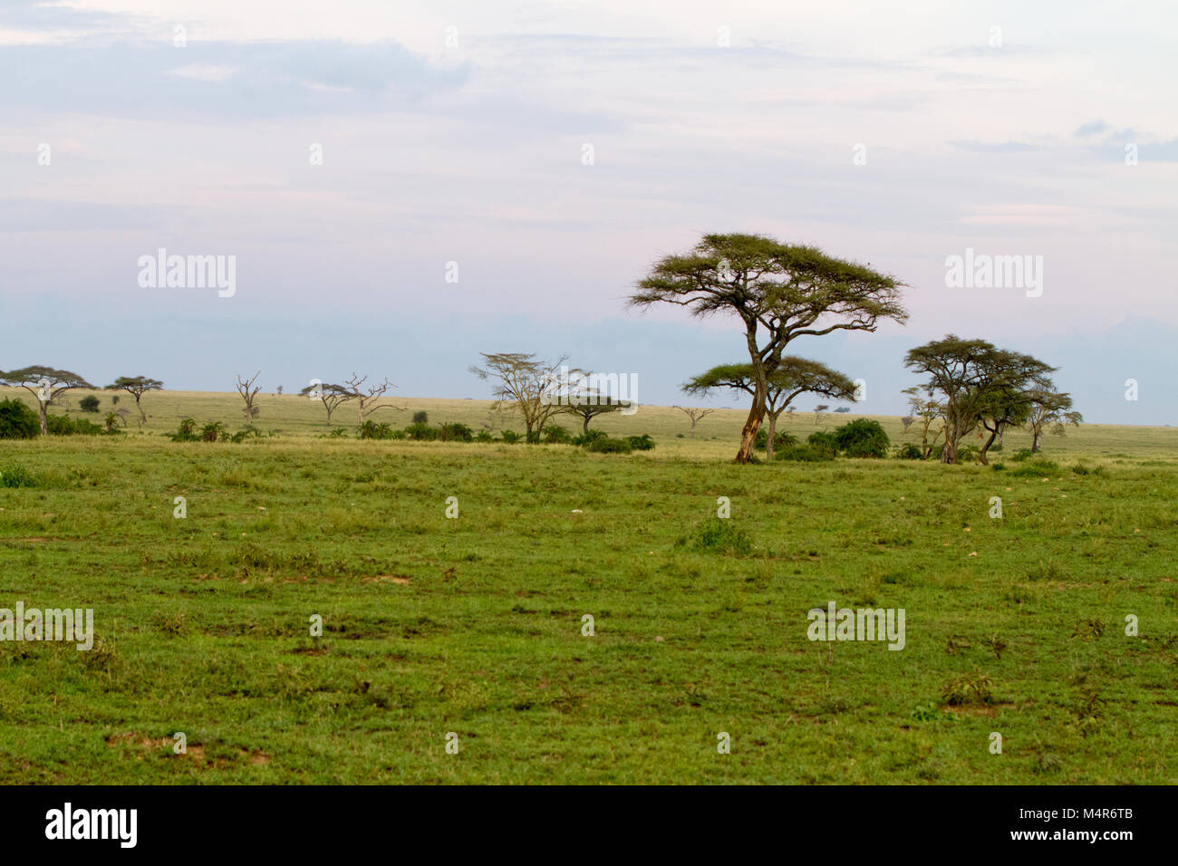 Serengeti National Park, Tanzanian national park in the Serengeti ...