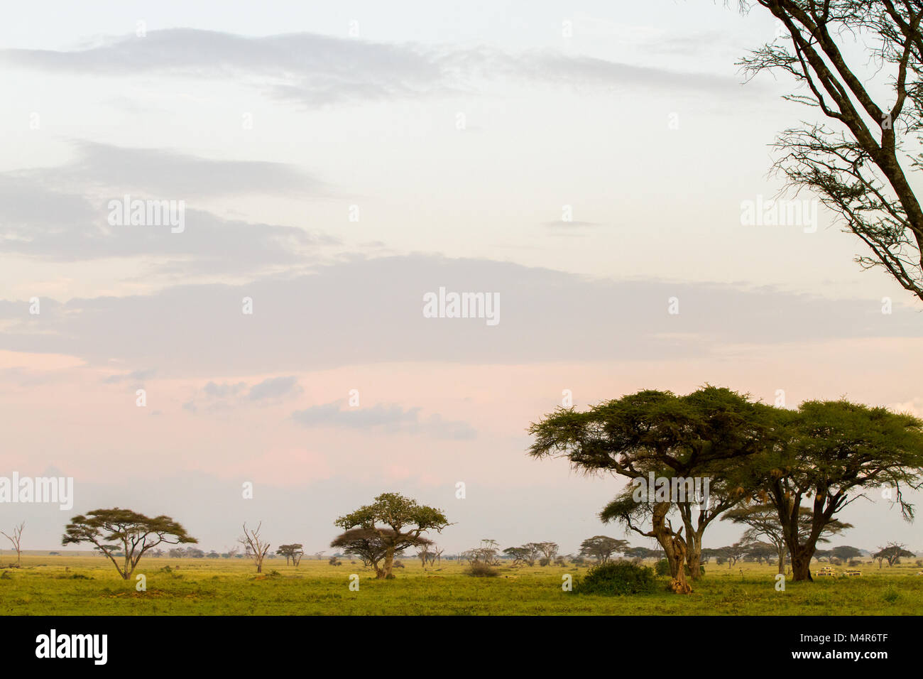 Serengeti National Park, Tanzanian national park in the Serengeti ...