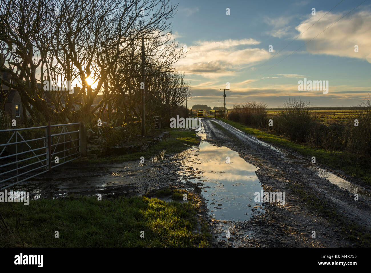 Wet farm hi-res stock photography and images - Alamy