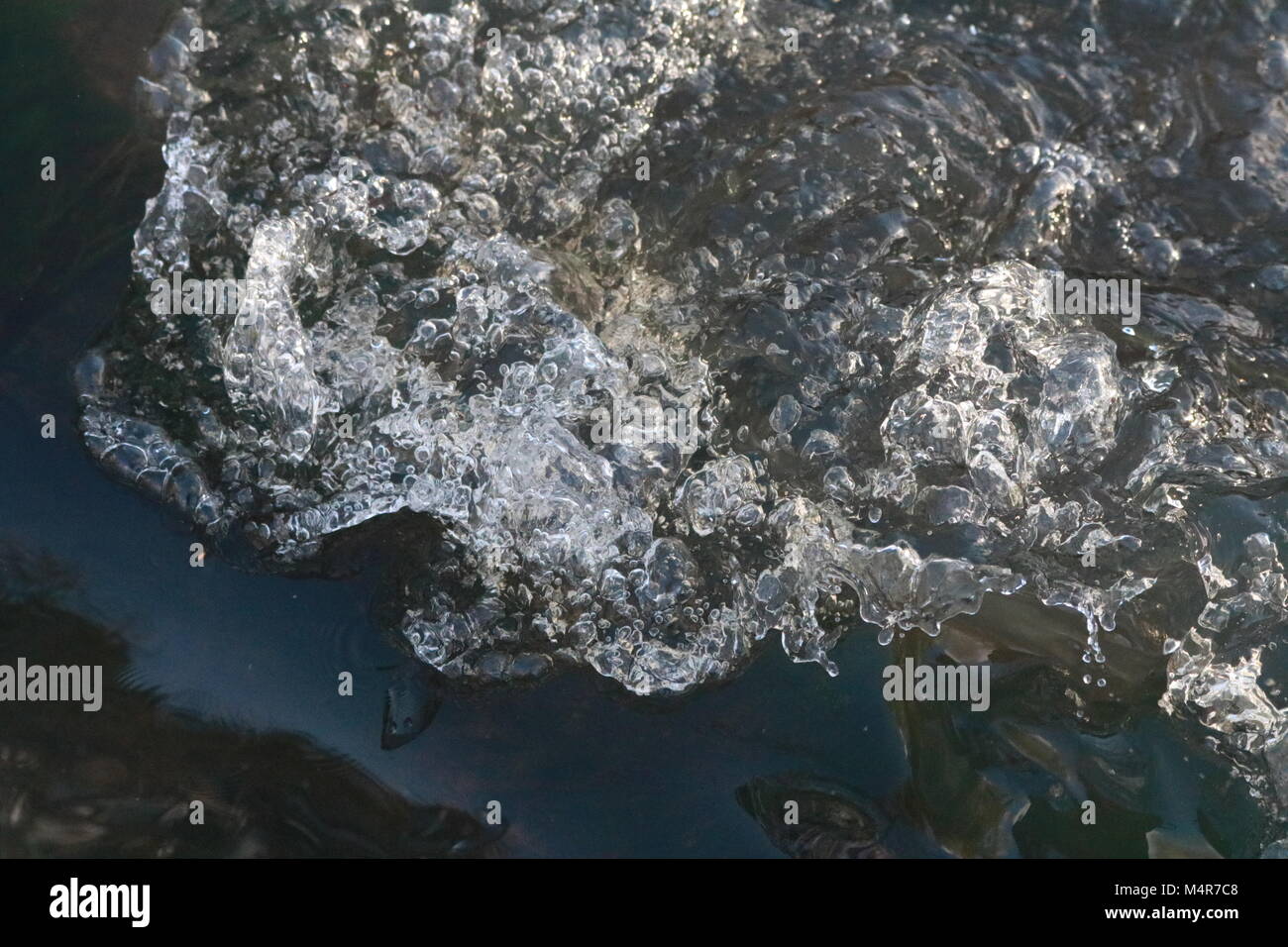 Bubbling river in winter Stock Photo - Alamy