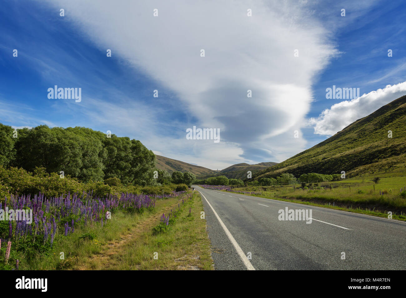 Nz rural road hi-res stock photography and images - Alamy