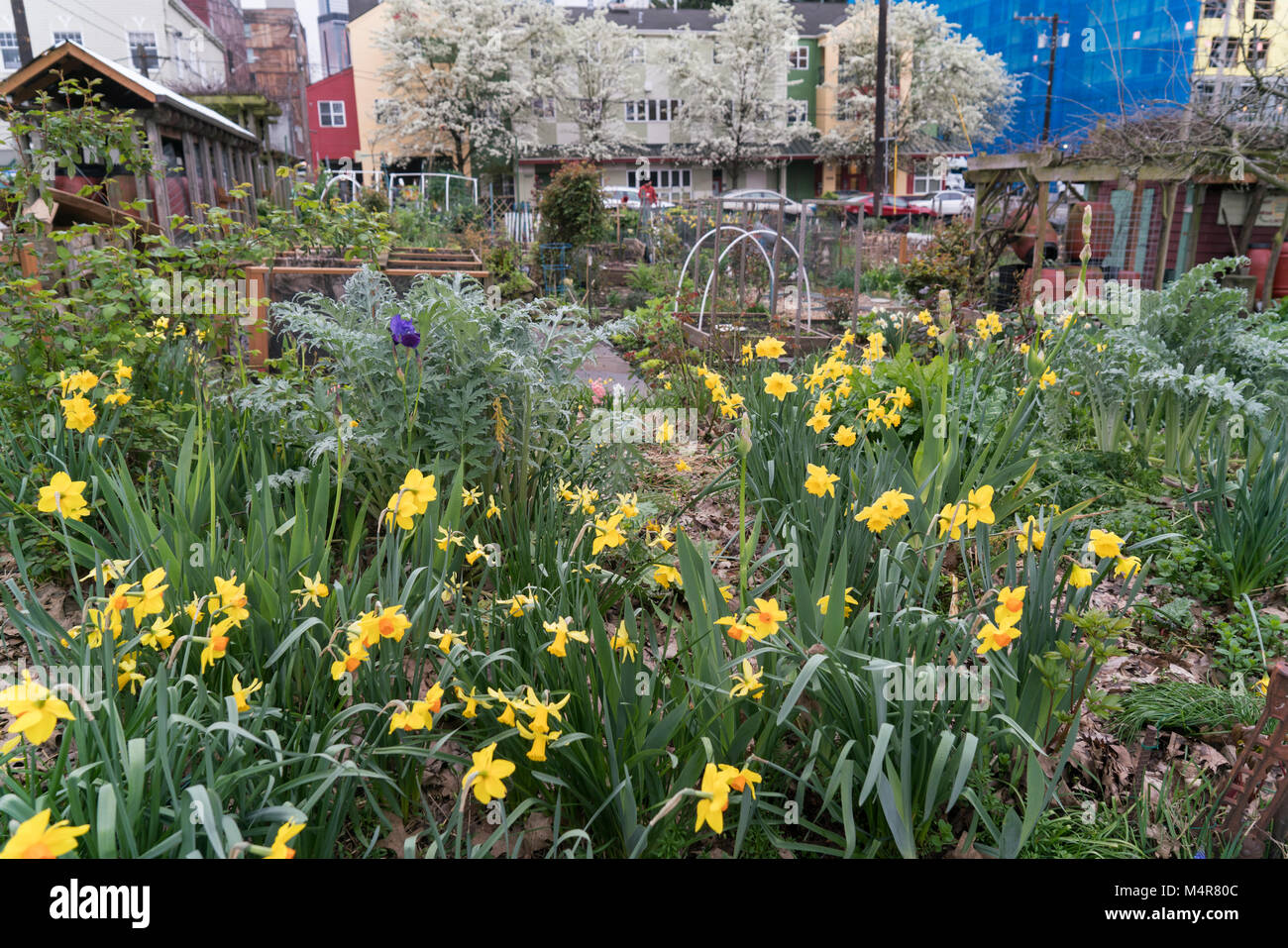Seattle urban landscape hi-res stock photography and images - Alamy