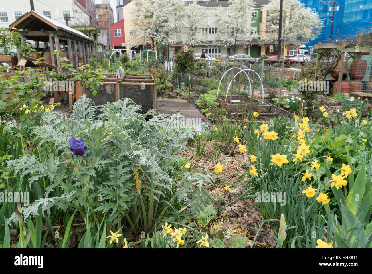 Seattle urban landscape hi-res stock photography and images - Alamy