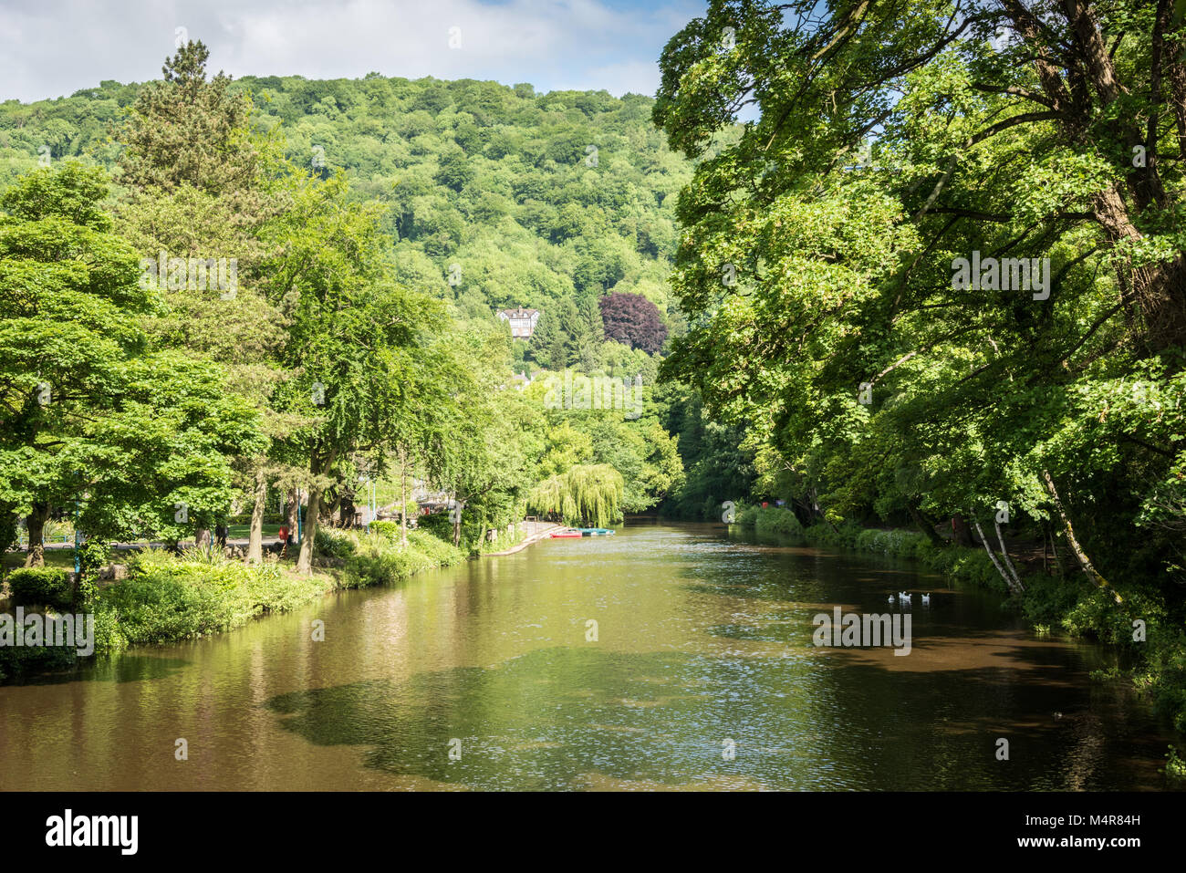 Gorge of the river derwent hi-res stock photography and images - Alamy