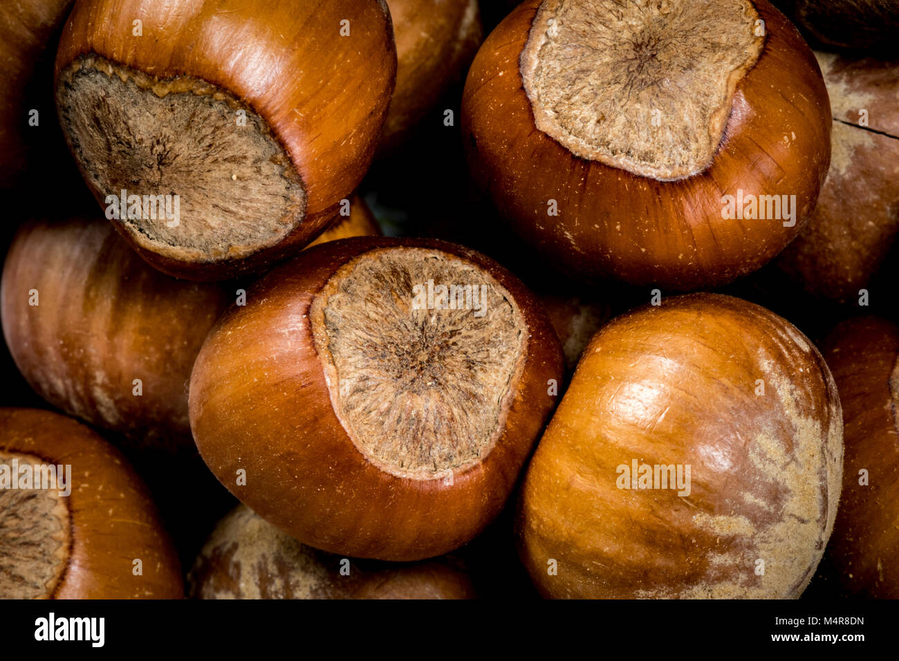 Pile of Hazelnut Shells Covering Horizontal Background Image Stock ...