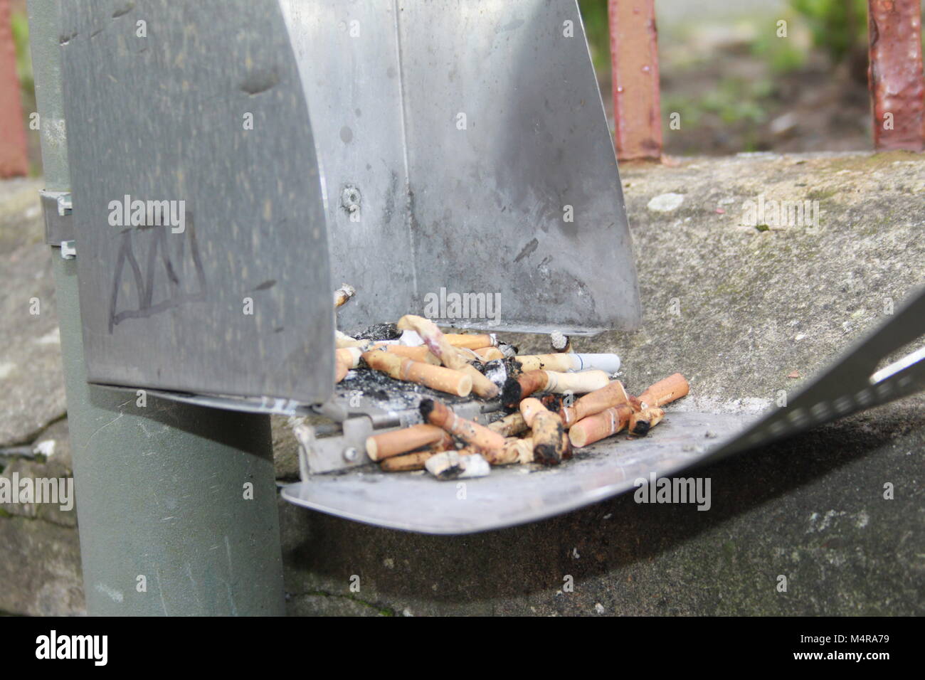 Cigarette butts in an open ash box Stock Photo - Alamy