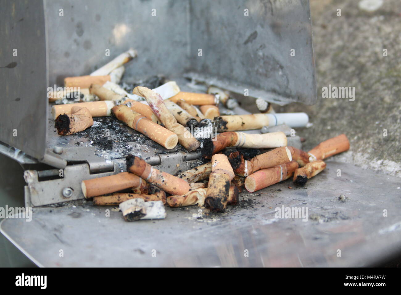 Cigarette butts in an open ash box Stock Photo - Alamy
