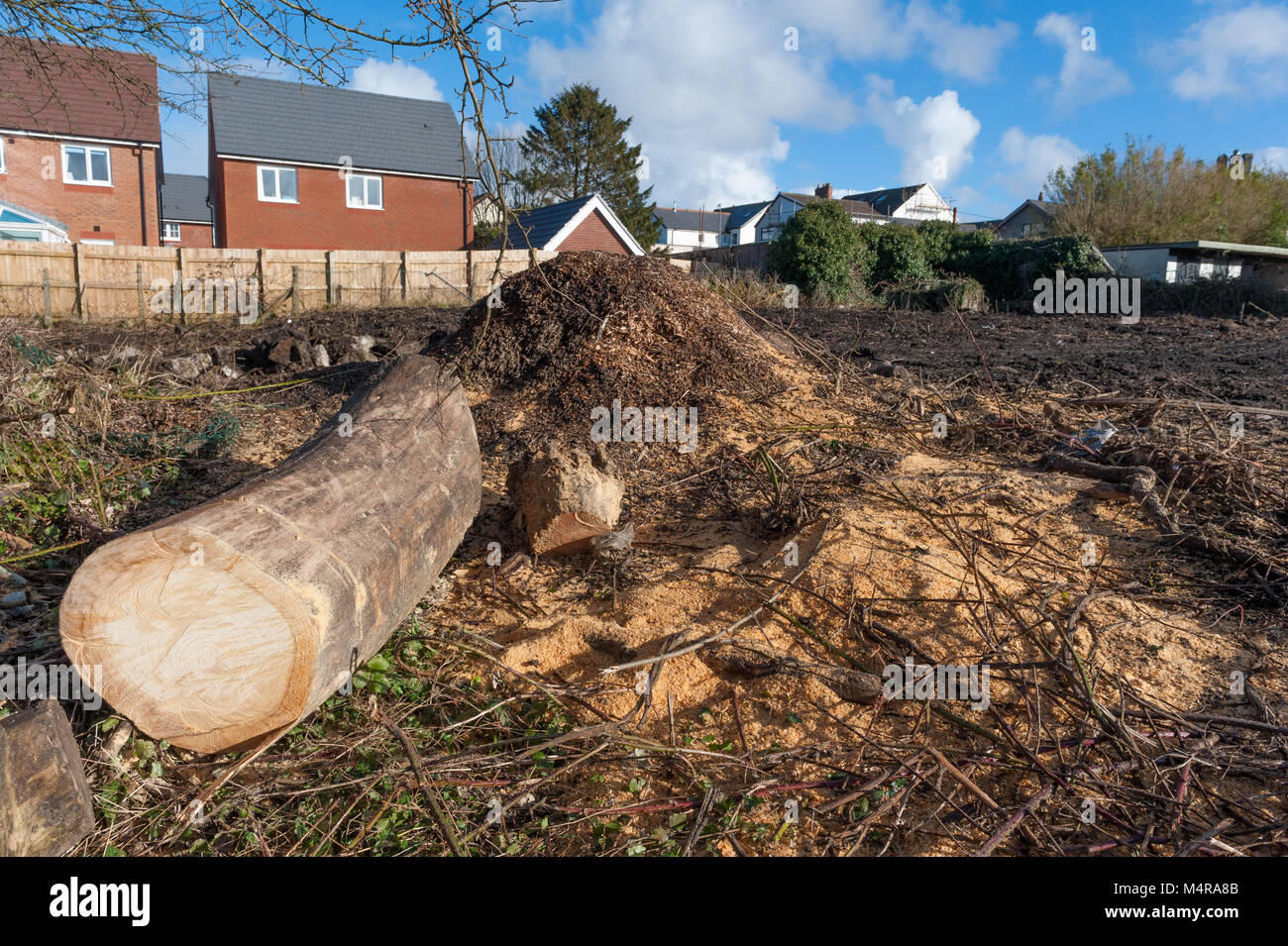 Cleared Site High Resolution Stock Photography and Images - Alamy
