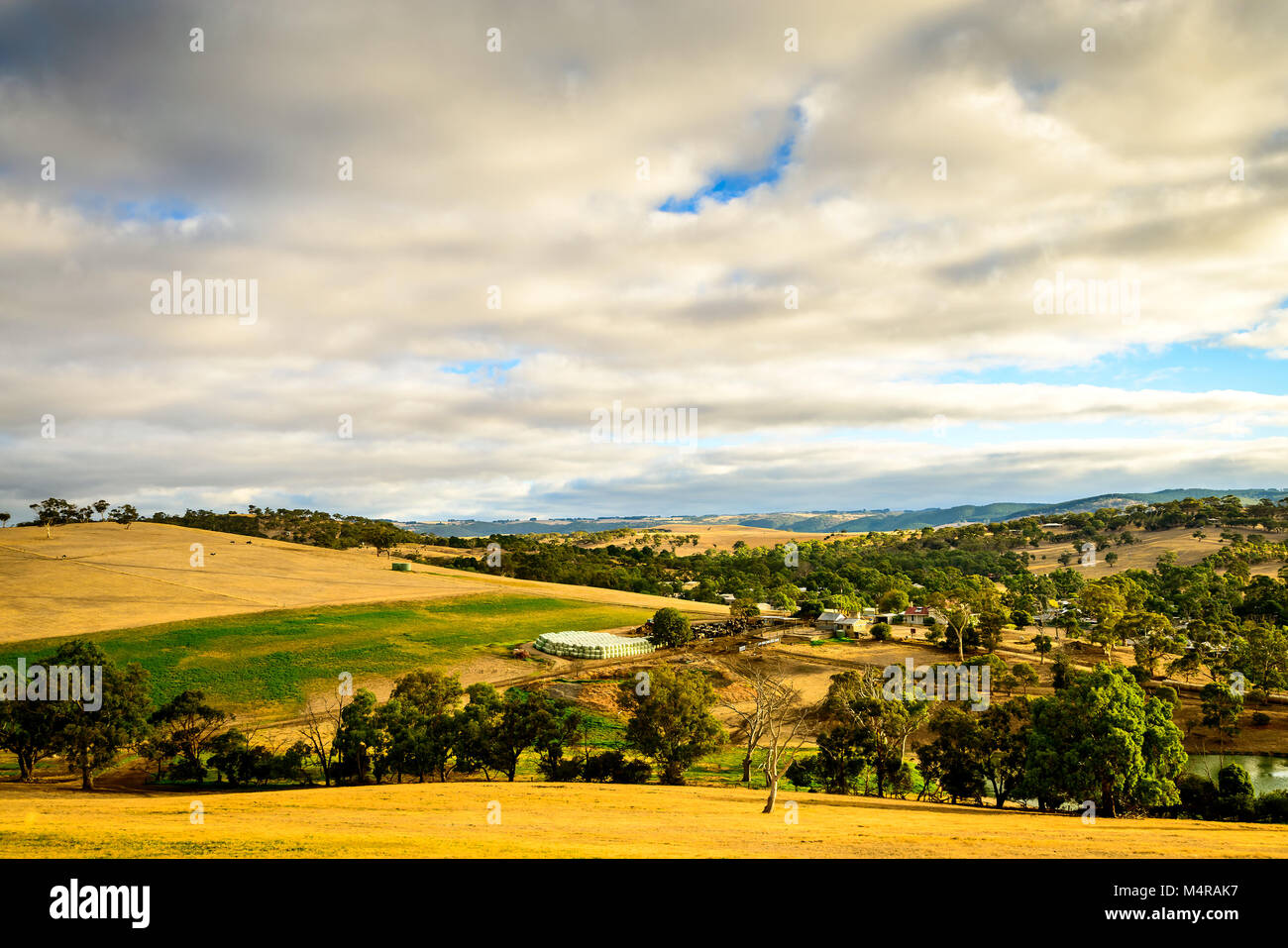 Cattle ranch australia hi-res stock photography and images - Alamy