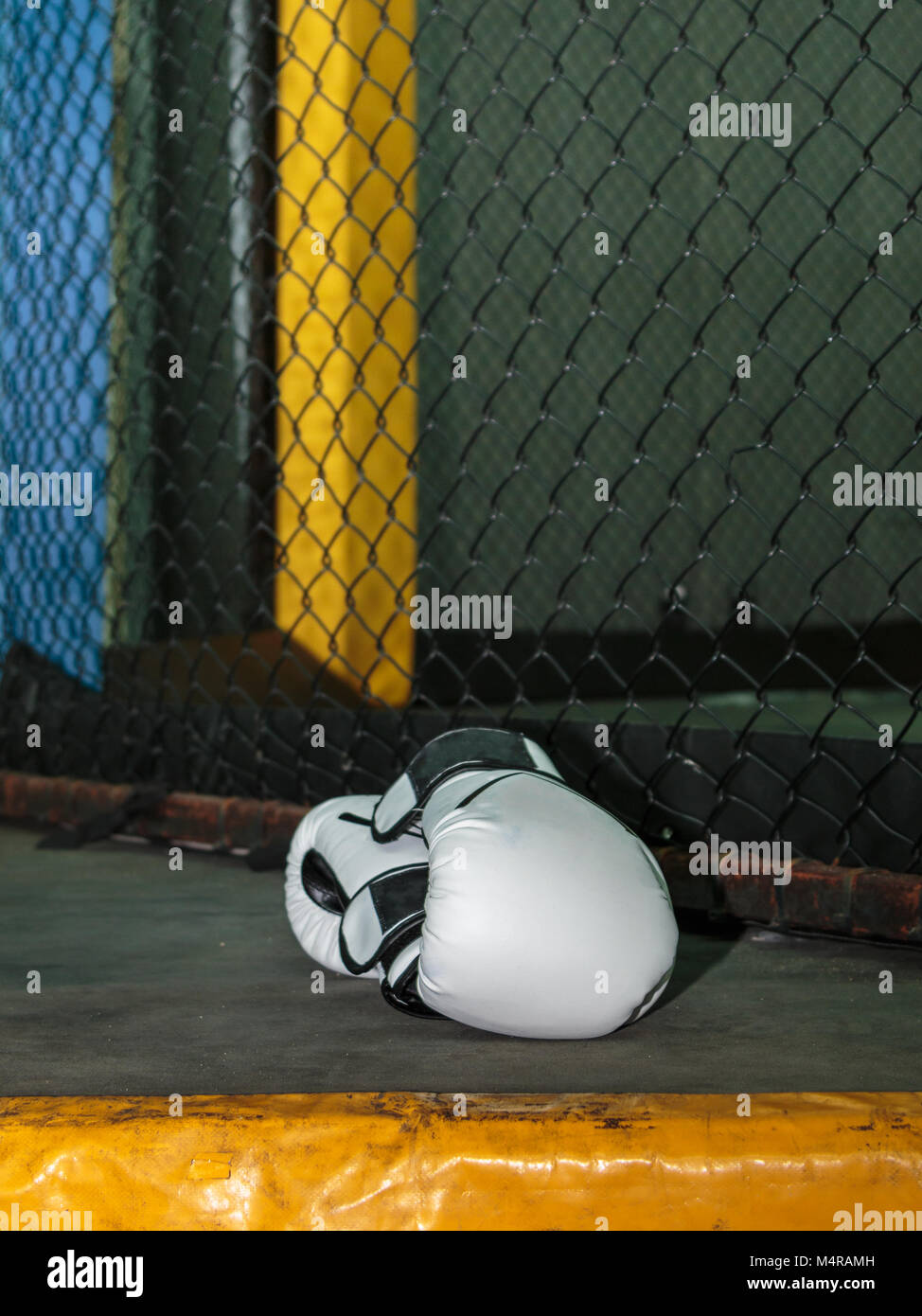 White Leather Boxing Gloves in Boxing Ring Stock Photo - Alamy