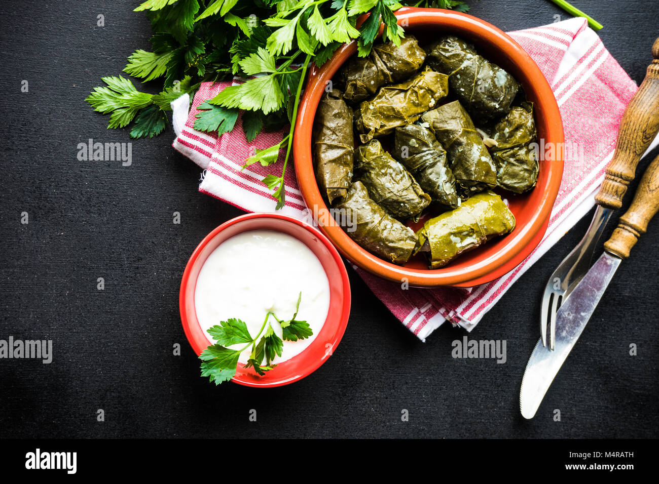 Traditional georgian dolma in grape leaves on rustic wooden table with ...