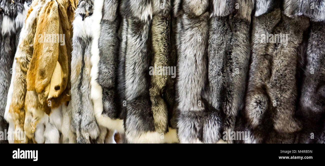 Silver fox fur coat hi-res stock photography and images - Alamy
