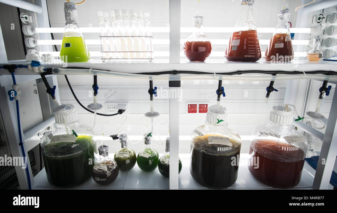 Laboratory colourful liquids and chemicals Stock Photo - Alamy